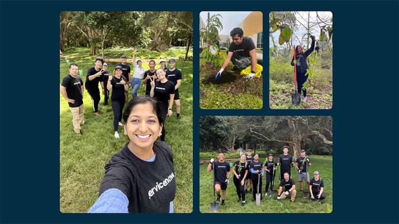Planting Trees and Growing Community - ServiceNow Blog