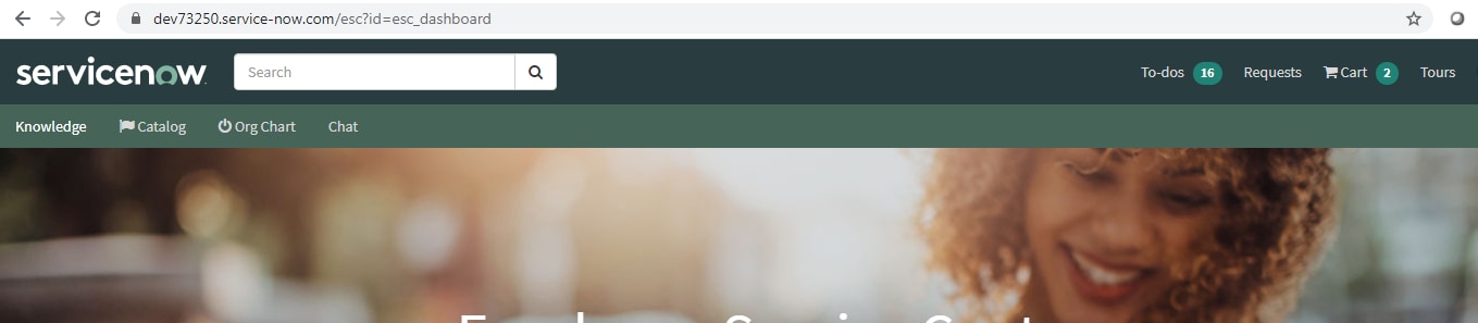 Add new Glyph Icon to HR service portal - ServiceNow Community