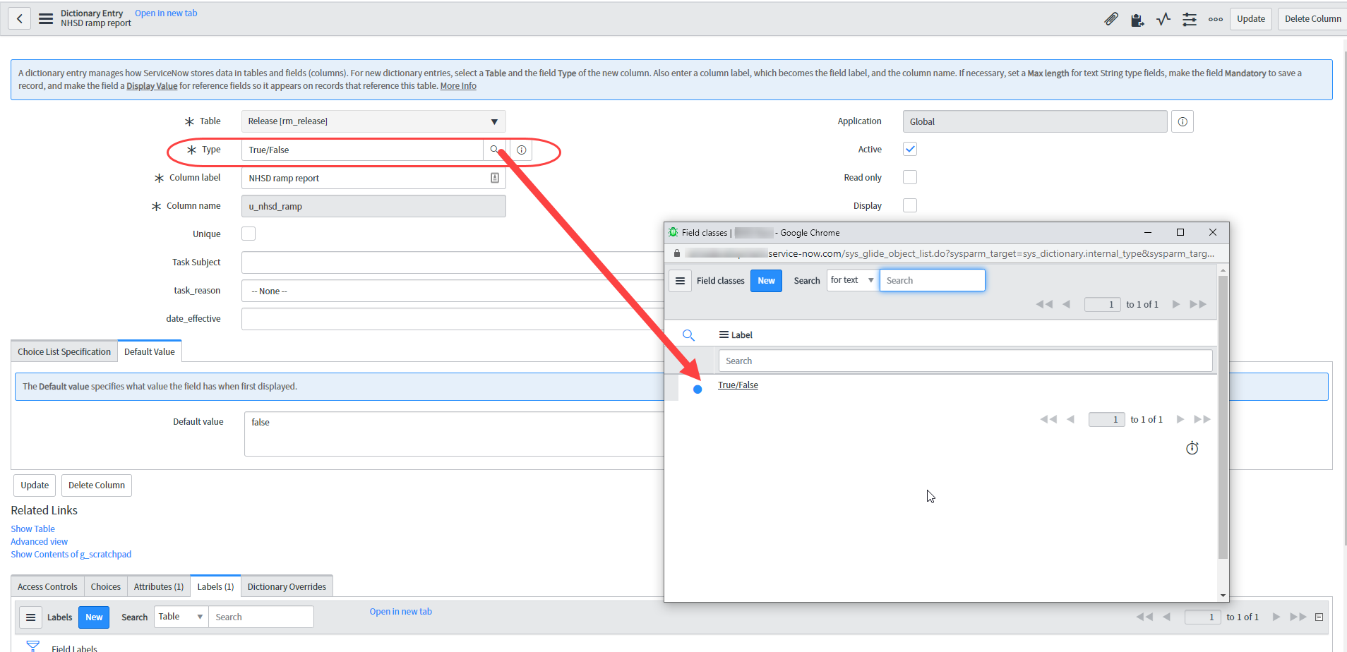 Changing a field from True/False to String - is it... - ServiceNow ...