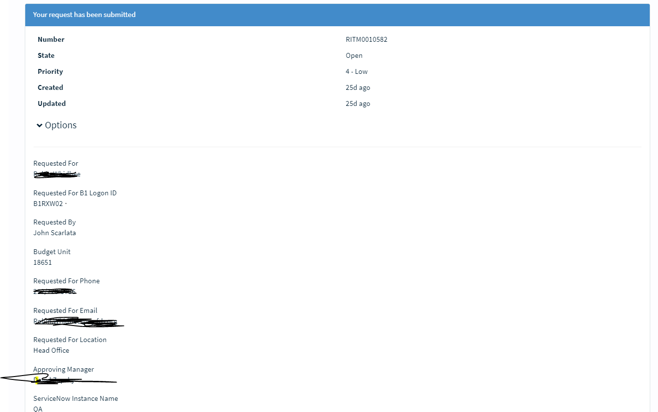 Solved: I need help formatting option text in the Ticket F... - ServiceNow Community