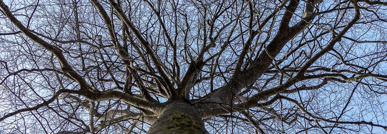 Visualize User's Role Inheritance Map - ServiceNow Community