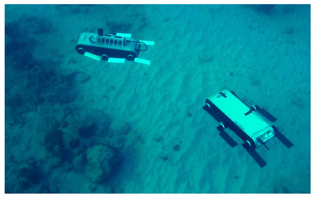 Underwater Multi-Robot Convoying using Visual Tracking by Detection ...