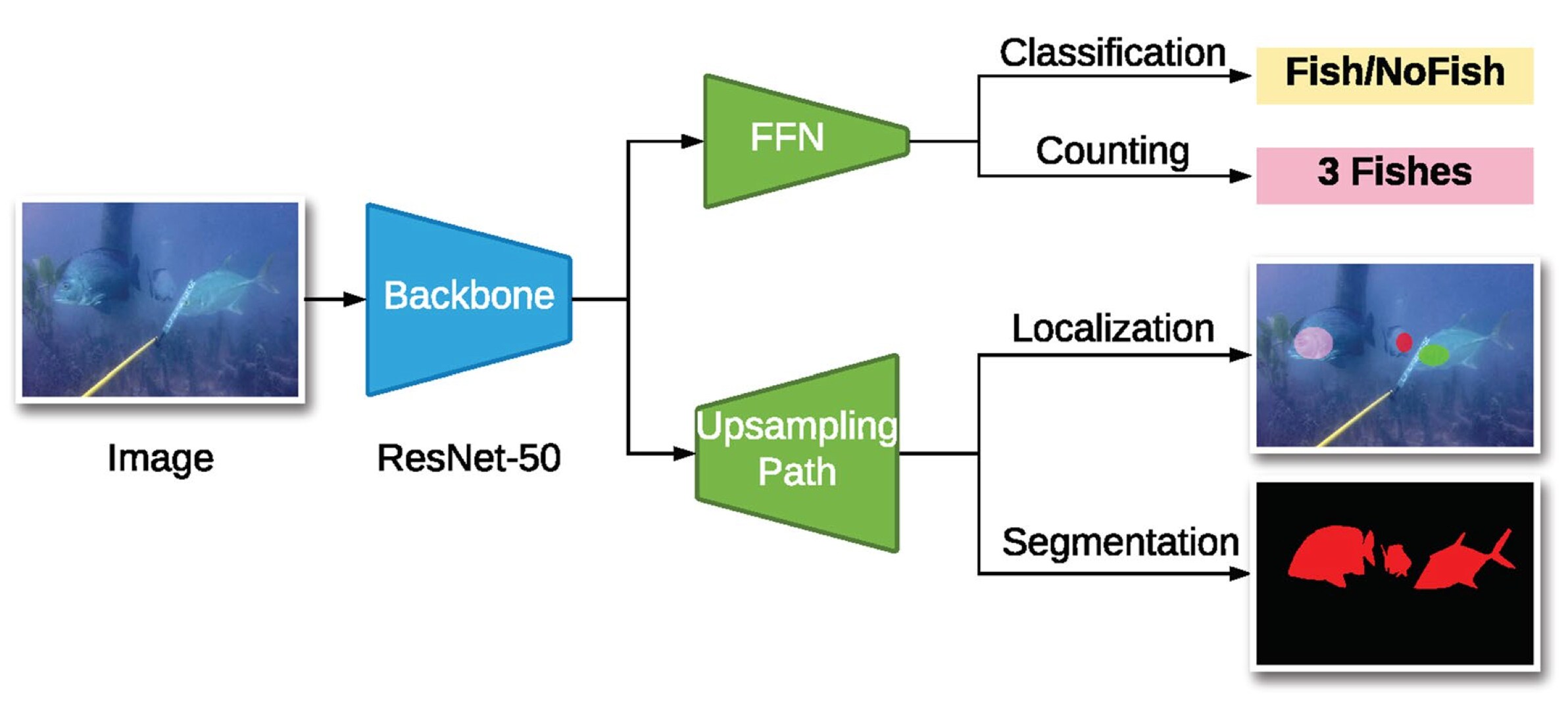 A realistic fish-habitat dataset to evaluate algorithms for underwater visual analysis ...