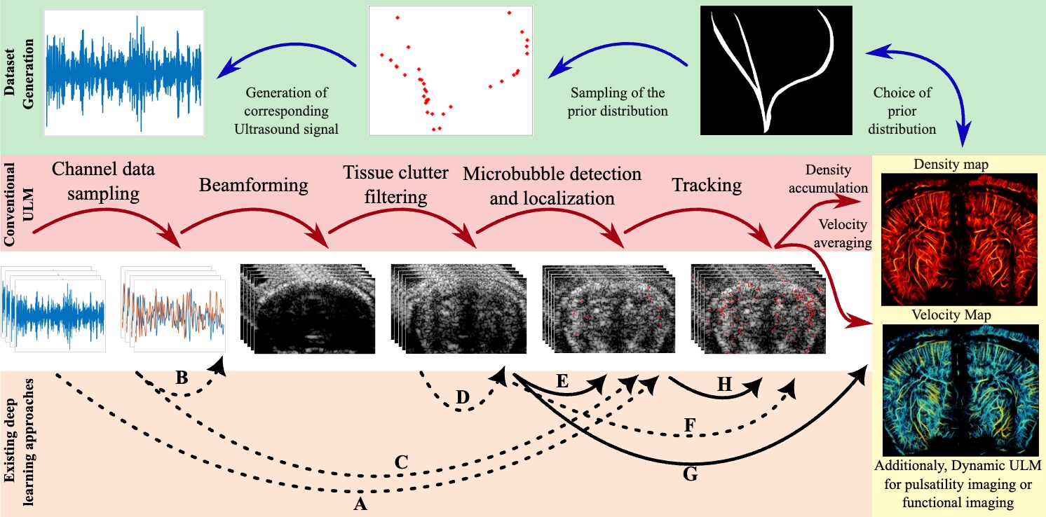 Deep Learning in Ultrasound localization Microscopy: Applications and ...