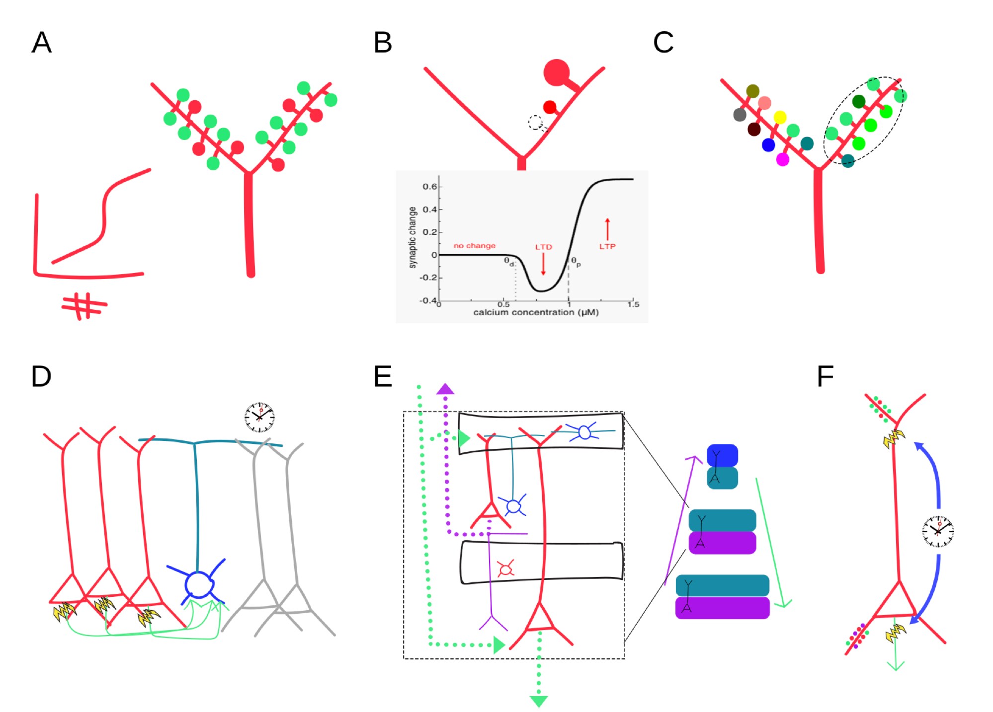Neocortical plasticity: an unsupervised cake but no free lunch ...